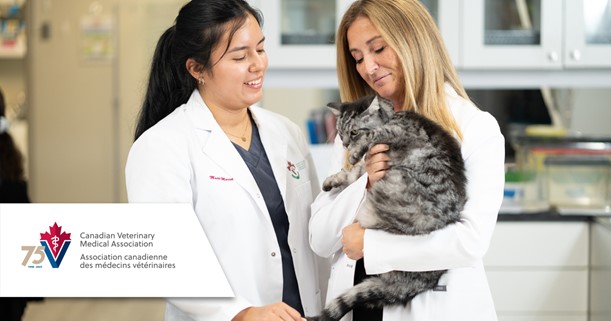 Workforce Shortage Social Media Awareness Campaign | CVMA