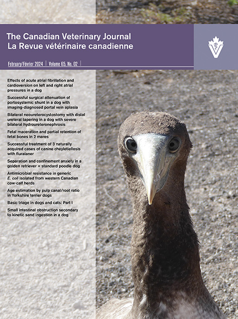 The Canadian Veterinary Journal | Canadian Veterinary Medical Association